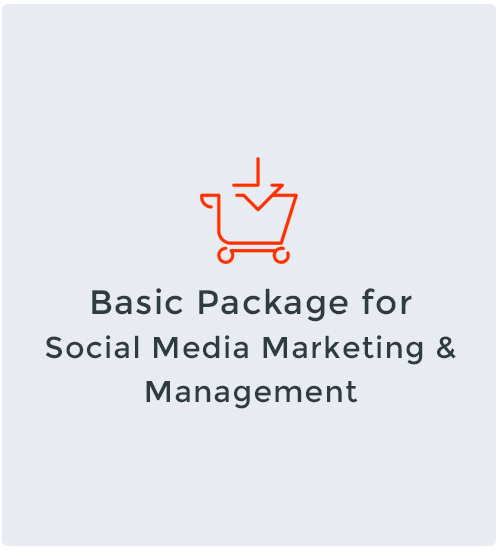 Basic Package for Social Media Marketing & Management - SubmitShop Basic Package for Social Media Marketing & Management - SubmitShop